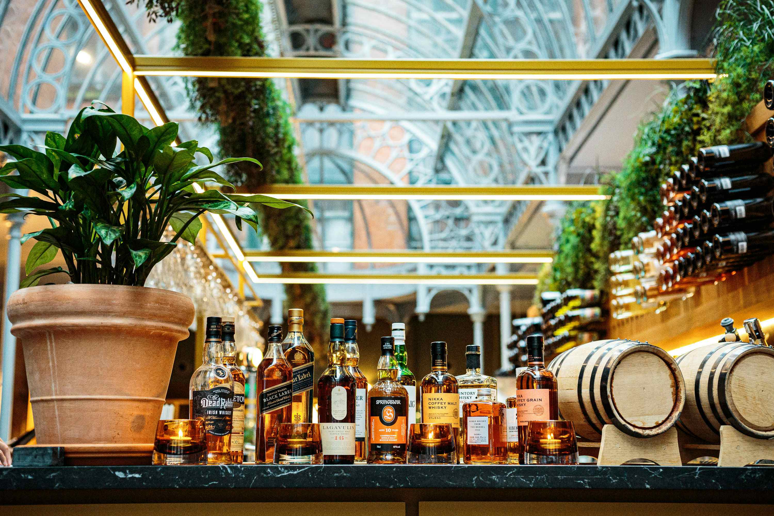 Book Whole Venue at The Conservatory Bar. A Manchester Venue for Hire ...