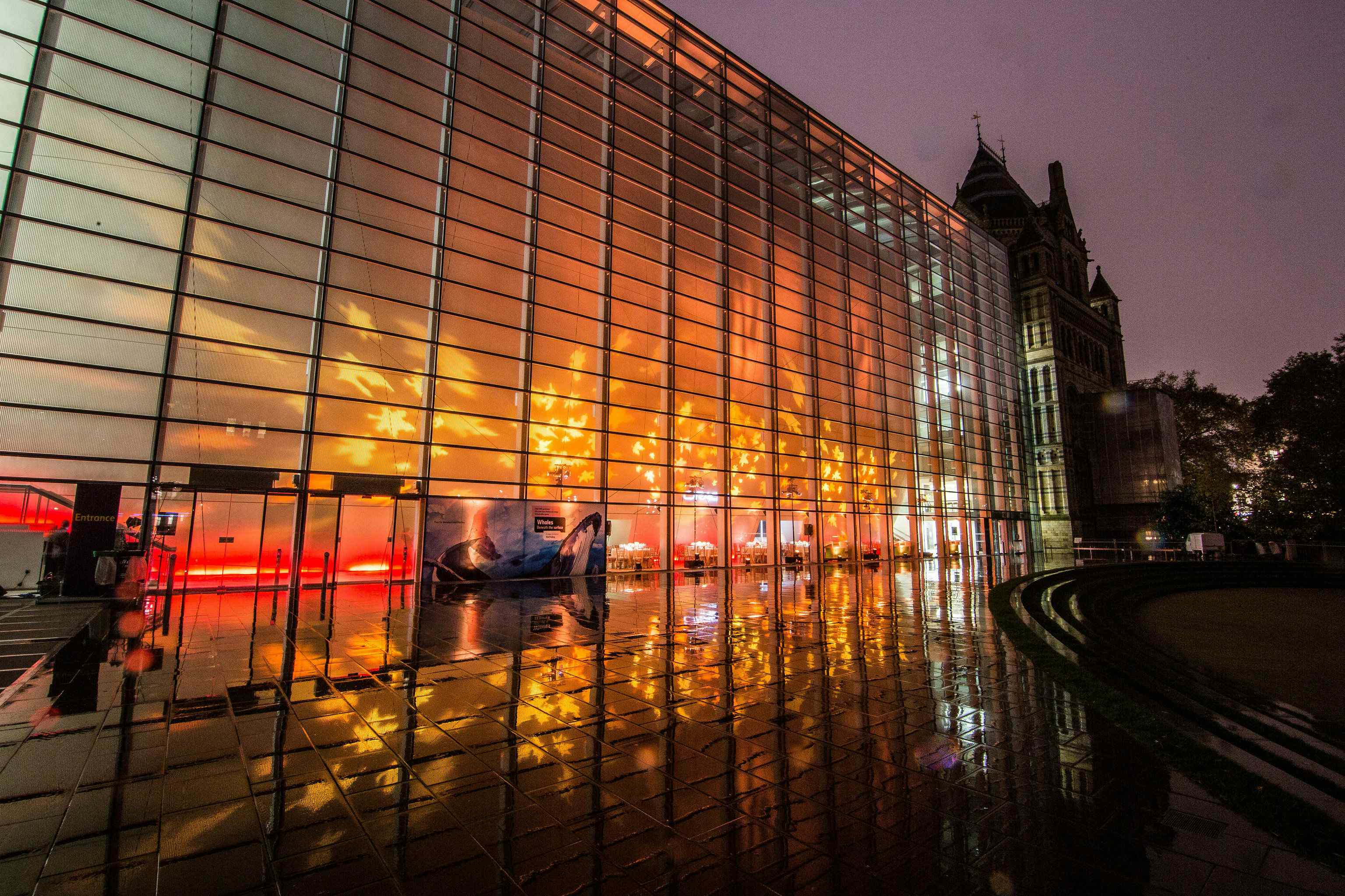 Book Darwin Centre at Natural History Museum. A London Venue for Hire ...