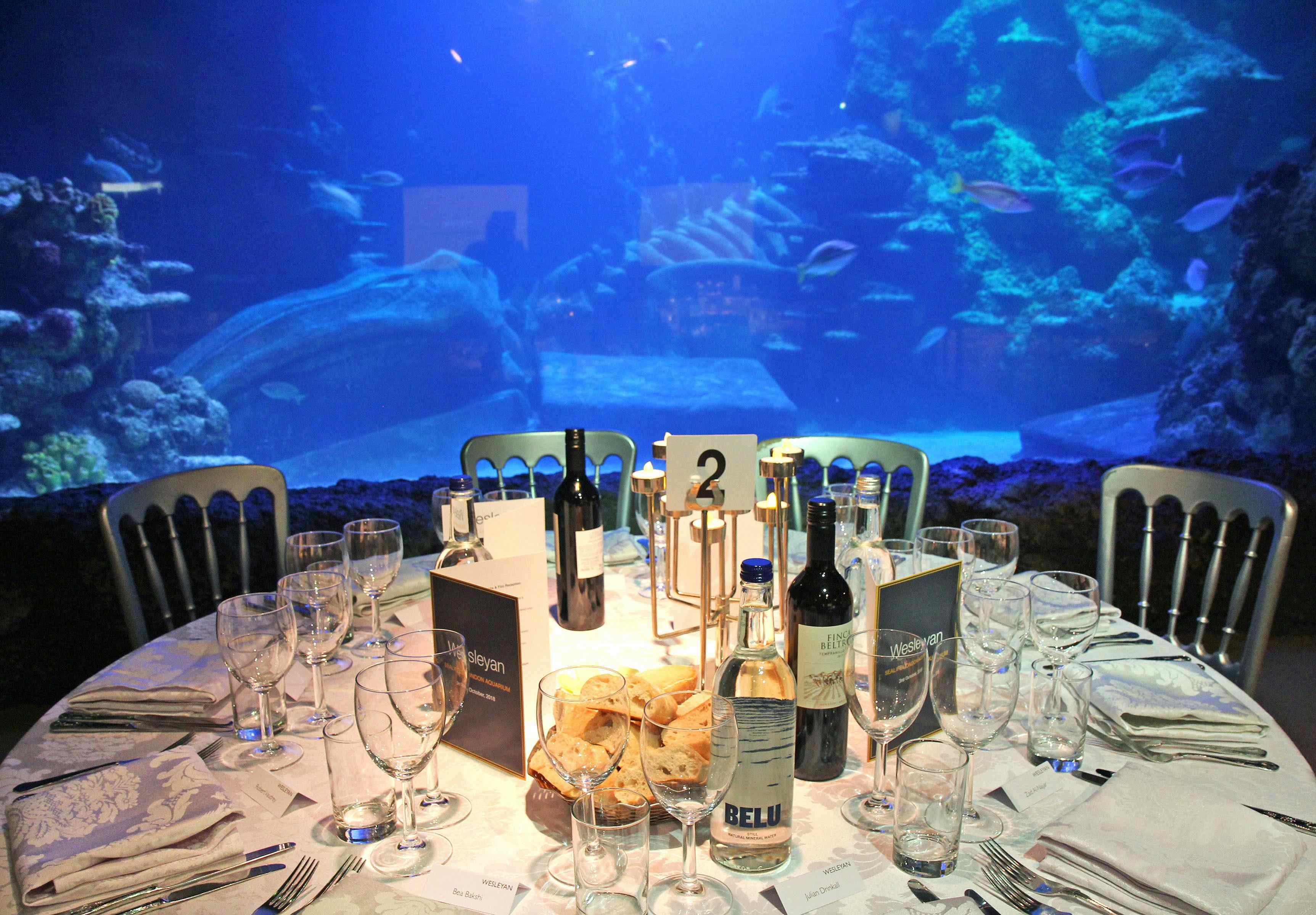 Book Venue Hire at Sealife London Aquarium. A London Venue for Hire ...